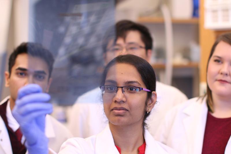 PhD Program | The Ohio State University College of Pharmacy