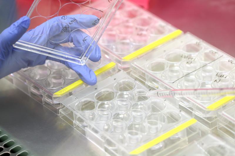 Research in Drug Development & Discovery | The Ohio State University ...